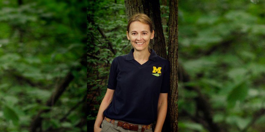 Forests under stress: SEAS Professor Inés Ibáñez says biodiversity is ...