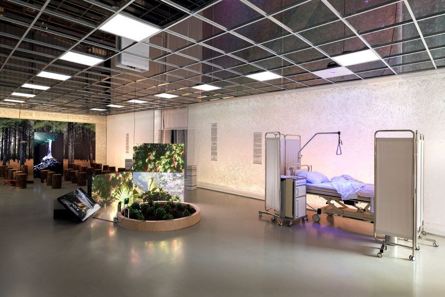 Contagious Extraction: How a fungus can reshape coffee ecosystems and ...