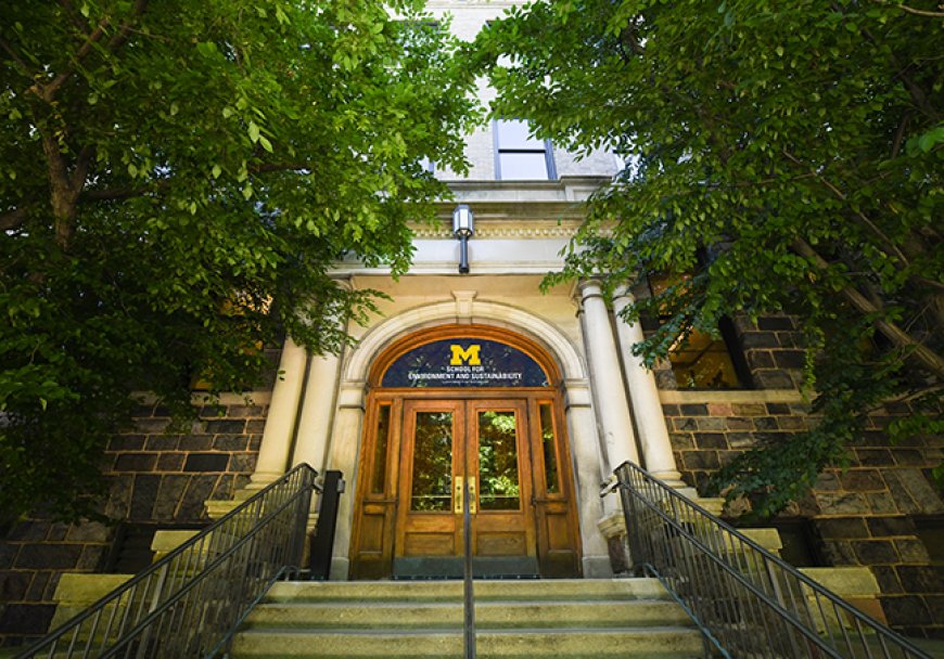 SEAS faculty receive Impact Institutes Seed Stage Awards