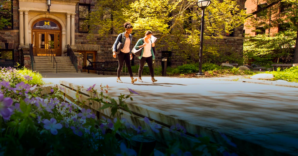 Environmental Policy and Planning | U-M SEAS Environment Sustainability